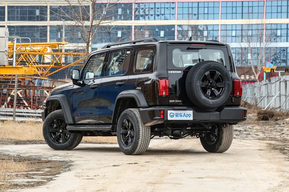 【坦克3002.0T 挑战者 汽油侧后45度车头向左水平图片-汽车图片大全】-易车